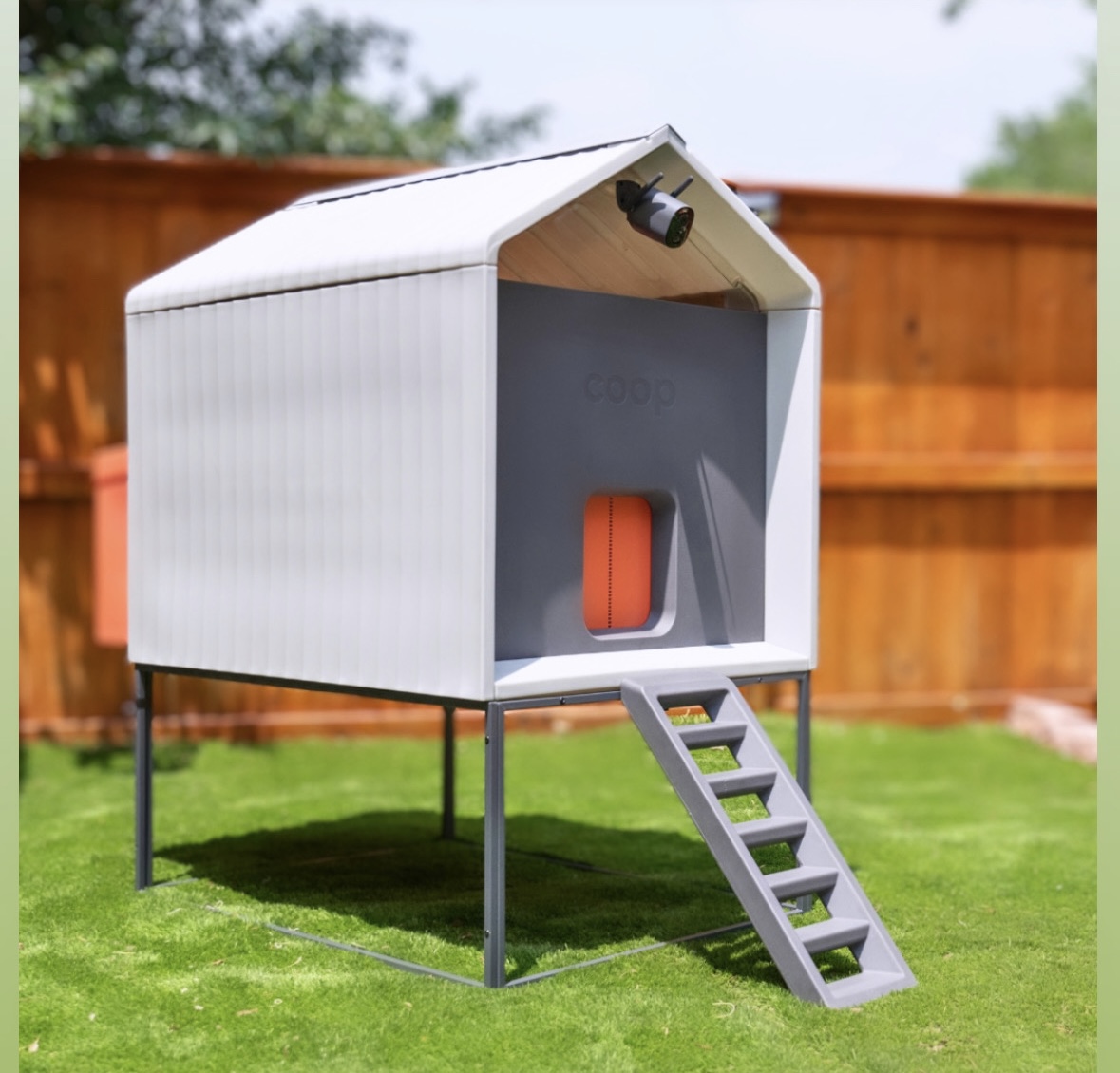 The Smart Coop + Elevated Base - The Smart Coop